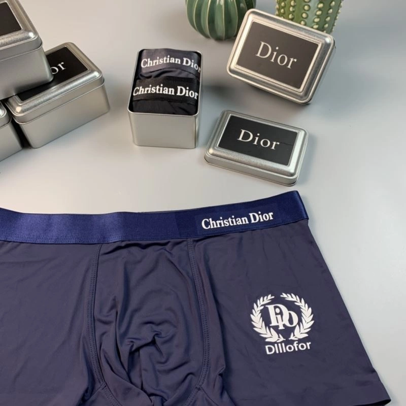 Precise copy Christian Dior Underwear