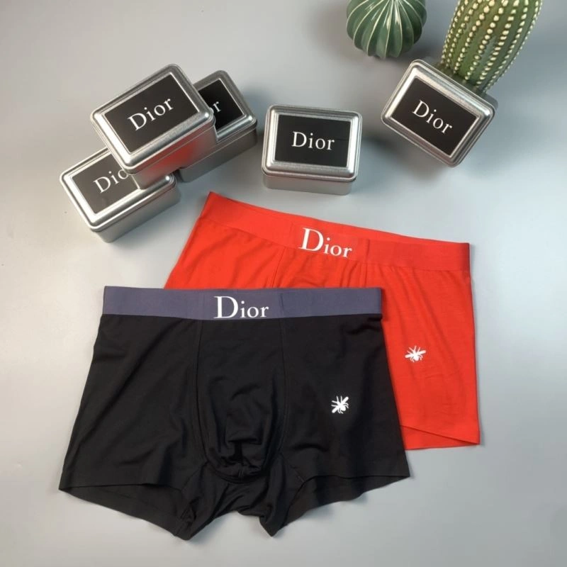 Christian Dior Underwear