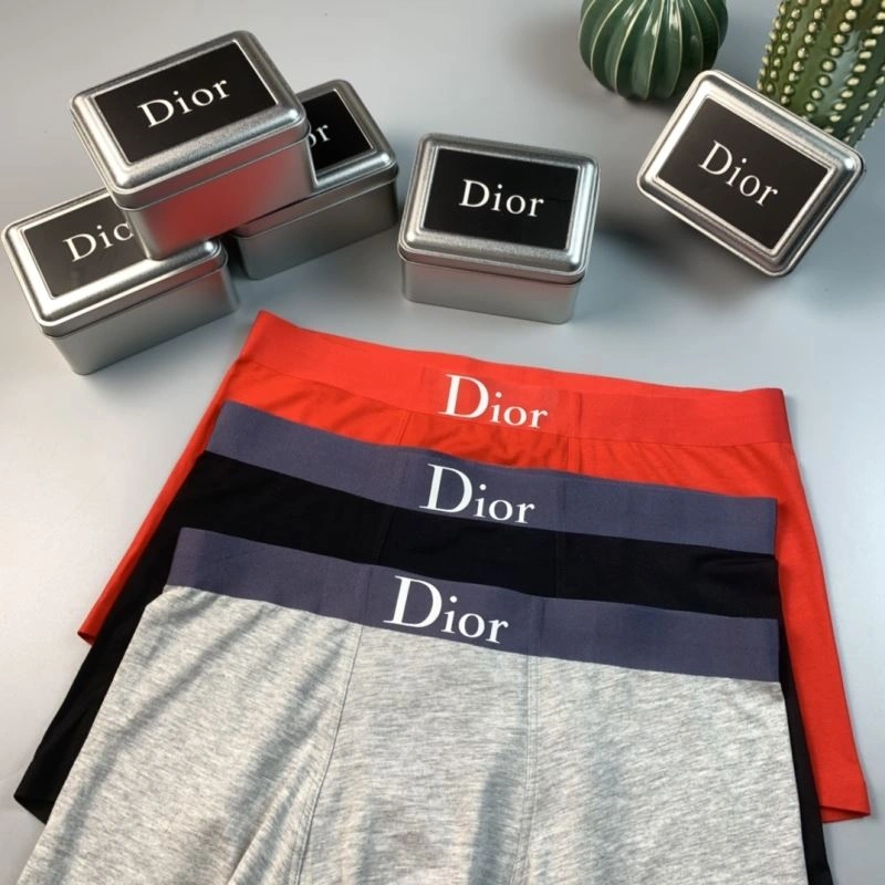 OEM Christian Dior Underwear