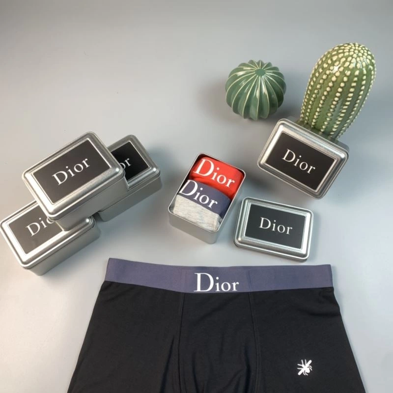 OEM Christian Dior Underwear