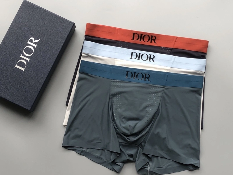 Top match Christian Dior Underwear
