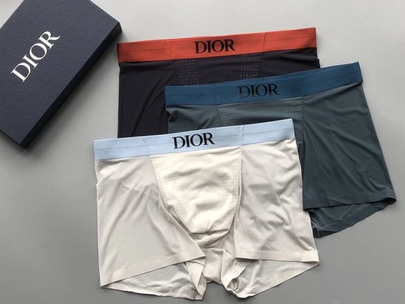 Top match Christian Dior Underwear