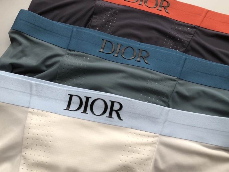 Top match Christian Dior Underwear
