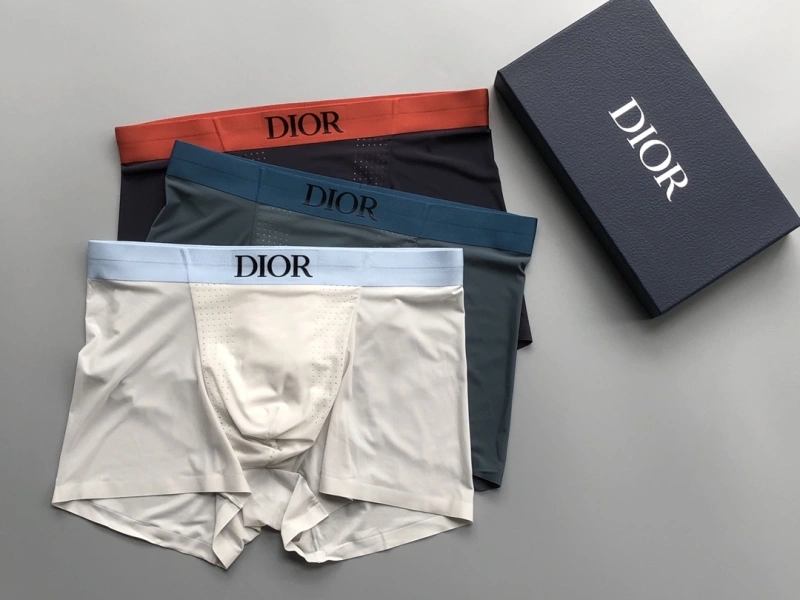 Top match Christian Dior Underwear