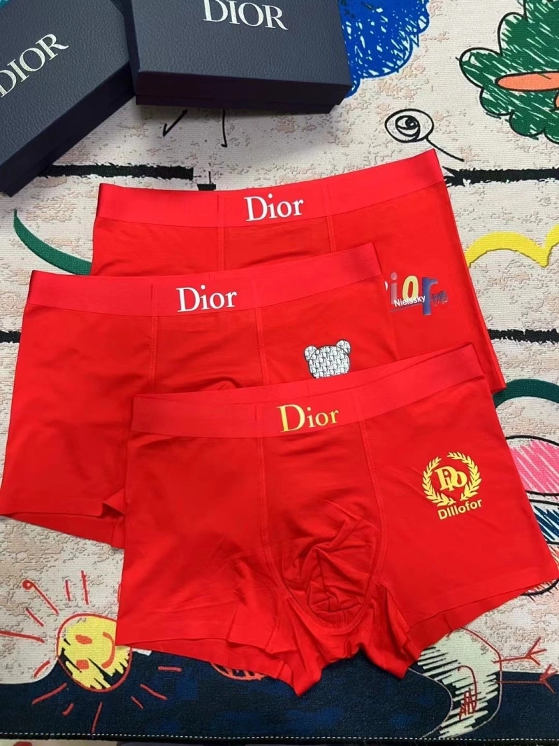 Christian Dior Underwear