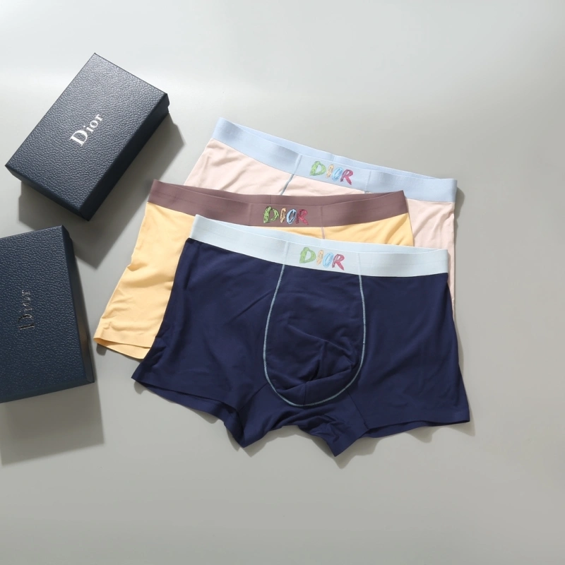 Christian Dior Underwear