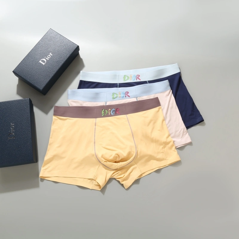 OEM Christian Dior Underwear
