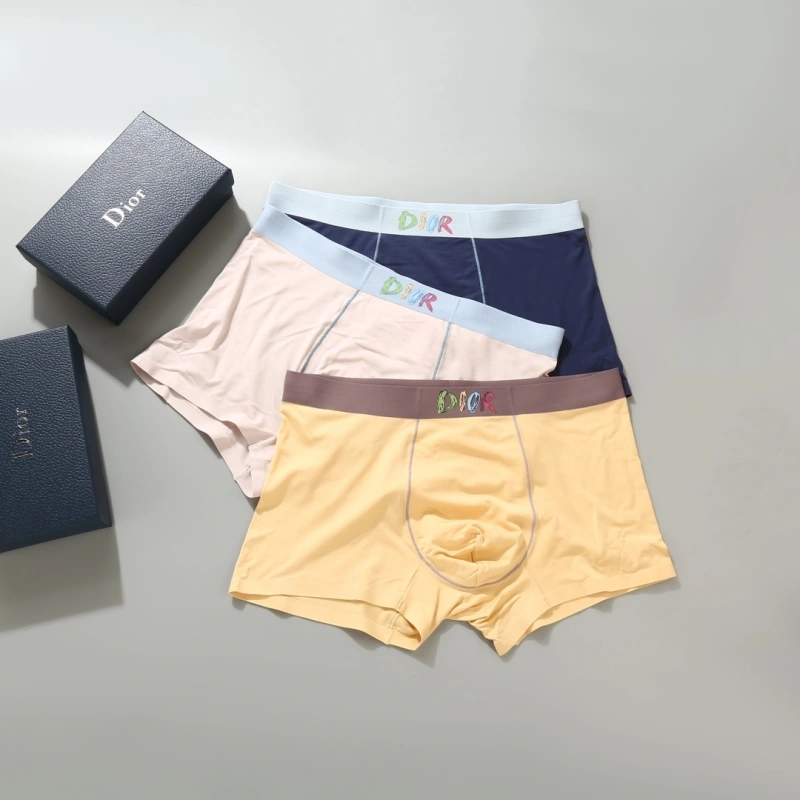 OEM Christian Dior Underwear