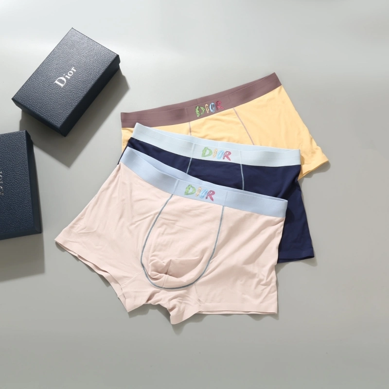 OEM Christian Dior Underwear