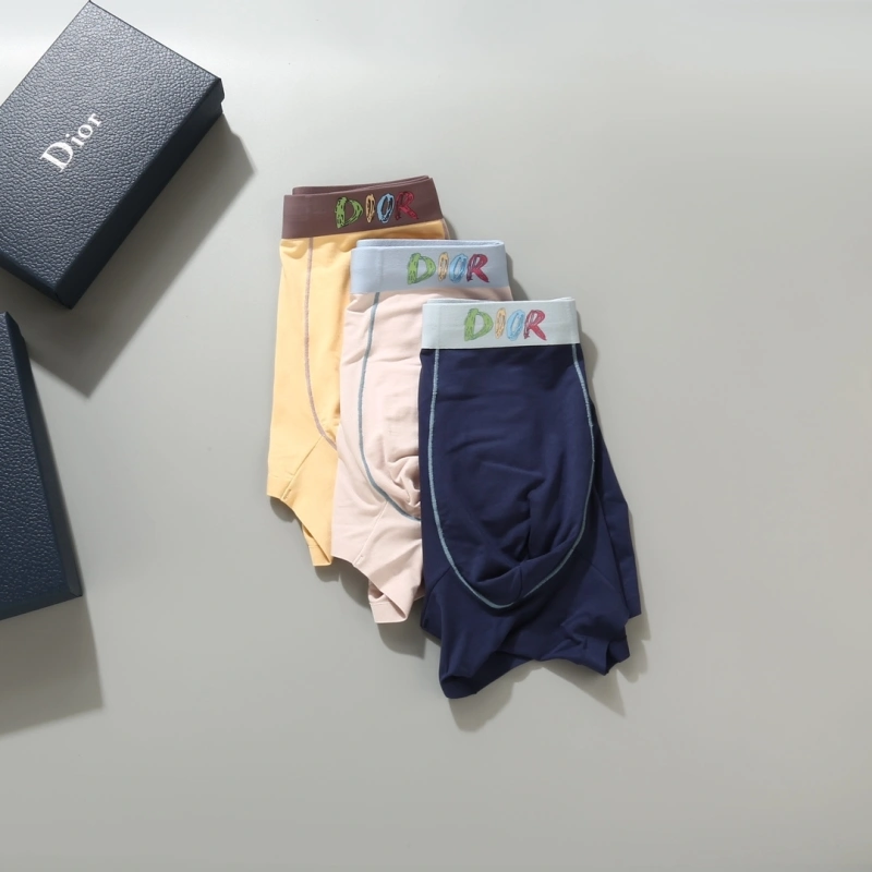 OEM Christian Dior Underwear
