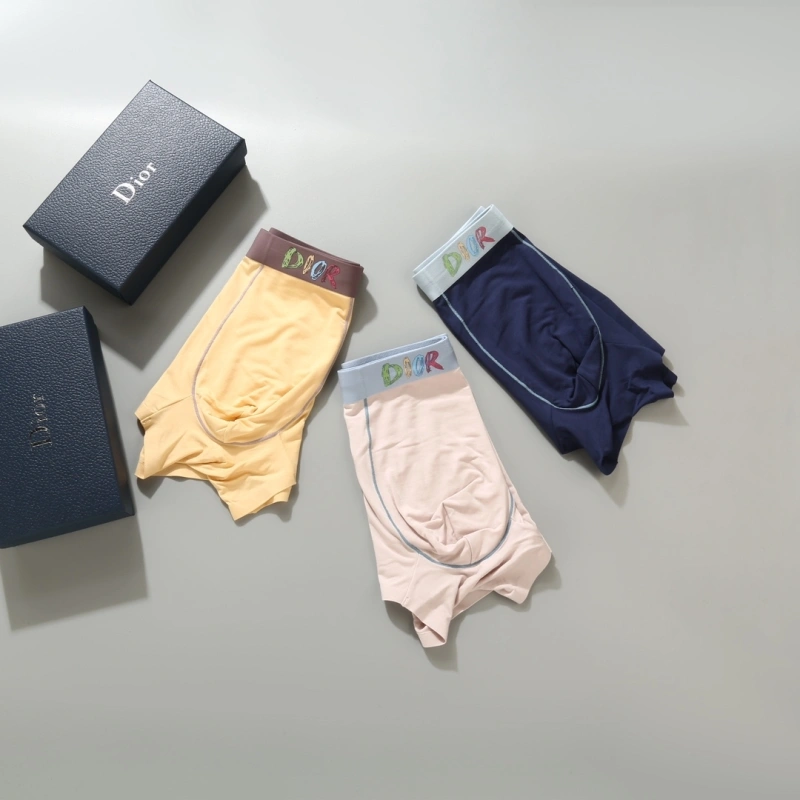 OEM Christian Dior Underwear