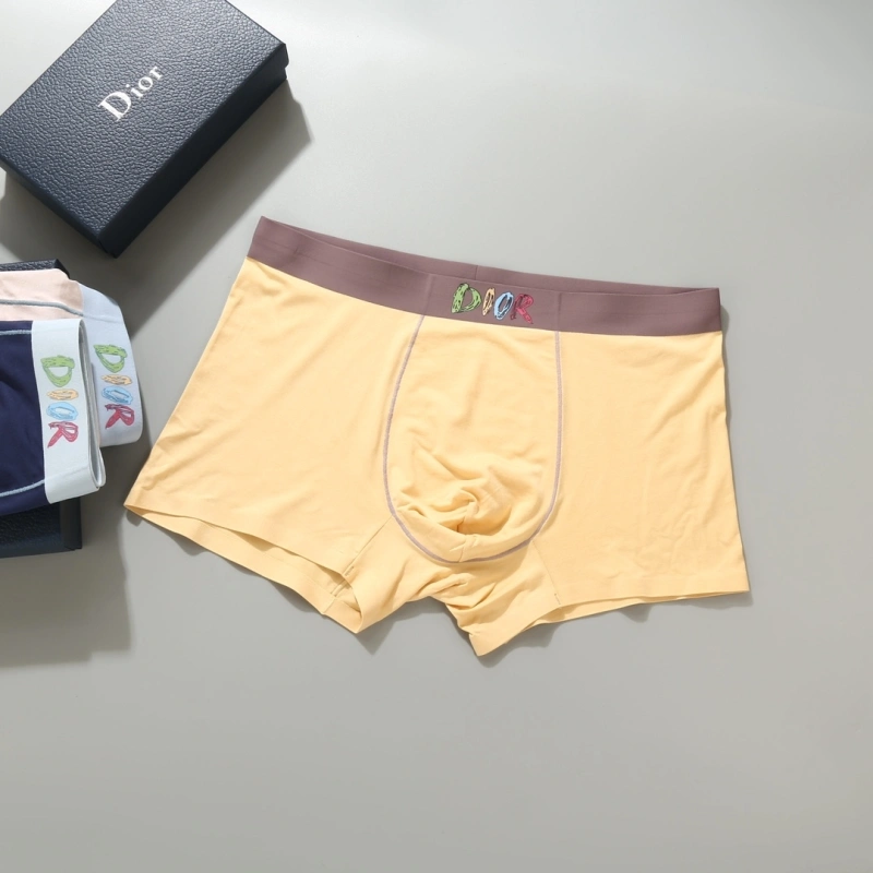 OEM Christian Dior Underwear