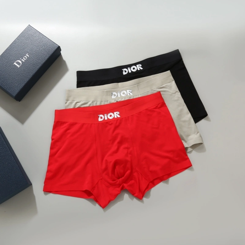 Christian Dior Underwear