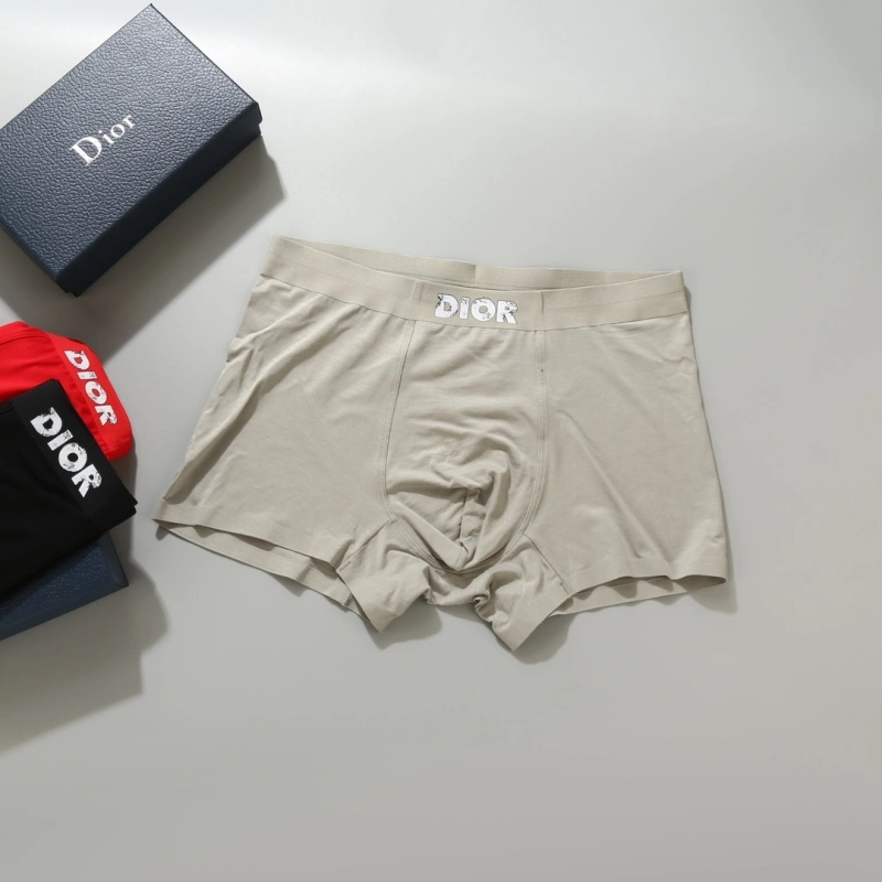 Perfect replica Christian Dior Underwear