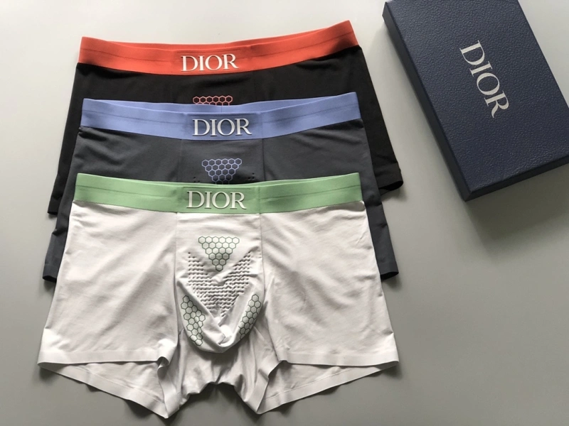Christian Dior Underwear
