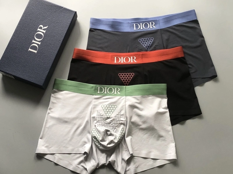 Indistinguishable Christian Dior Underwear