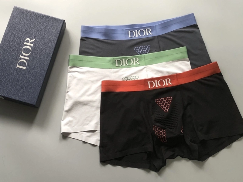 Indistinguishable Christian Dior Underwear