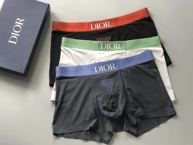 Indistinguishable Christian Dior Underwear