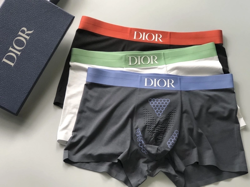 Indistinguishable Christian Dior Underwear