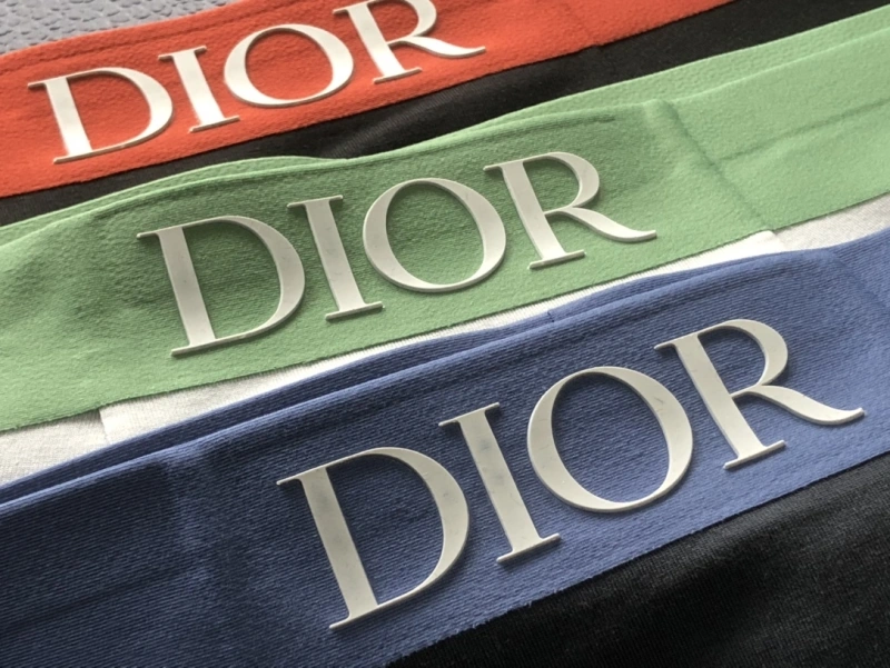 Indistinguishable Christian Dior Underwear