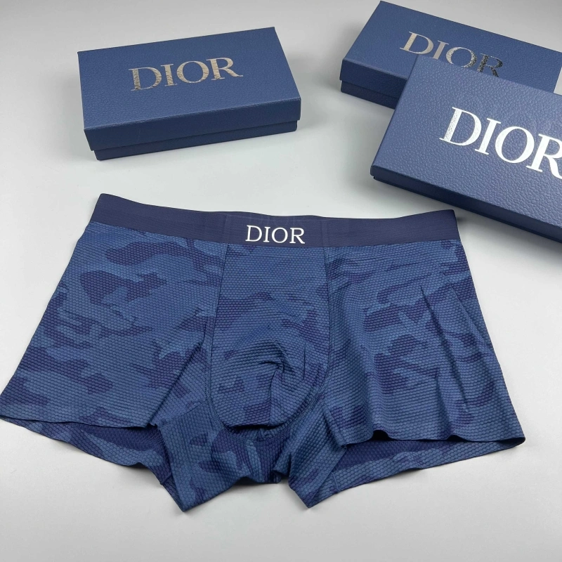 Christian Dior Underwear