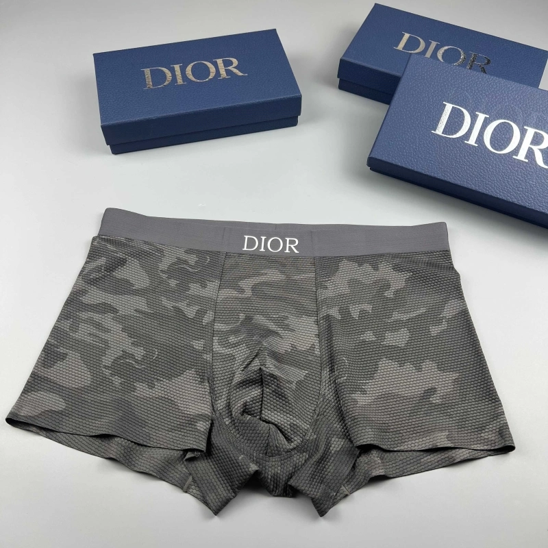 Accurate model Christian Dior Underwear