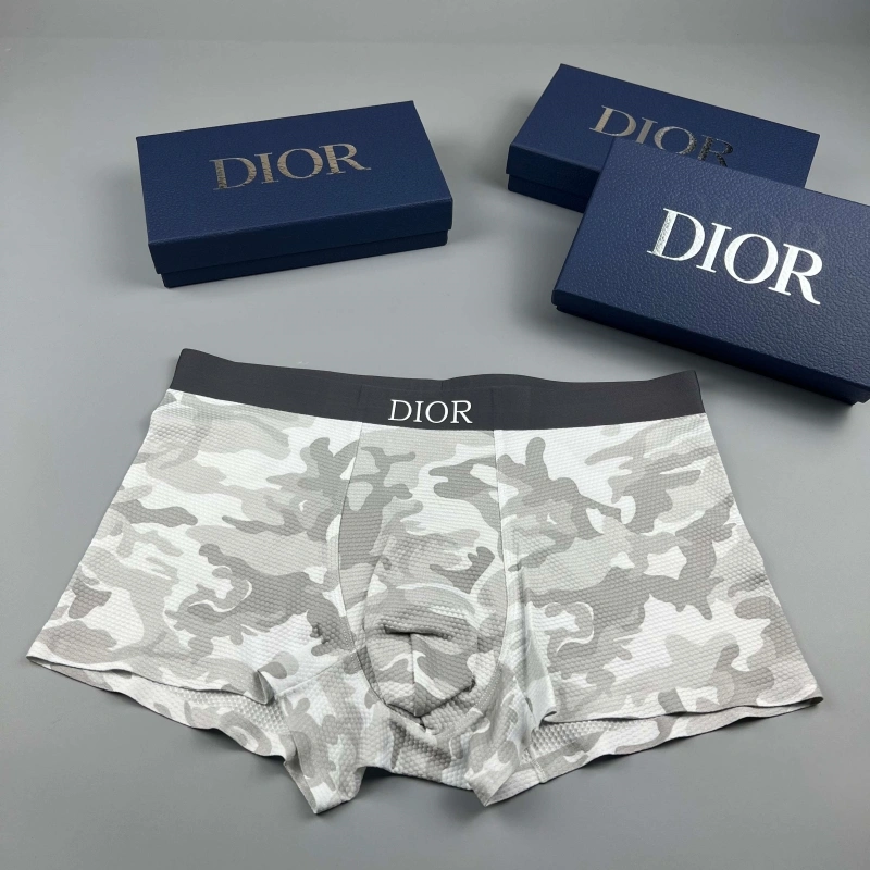 Accurate model Christian Dior Underwear