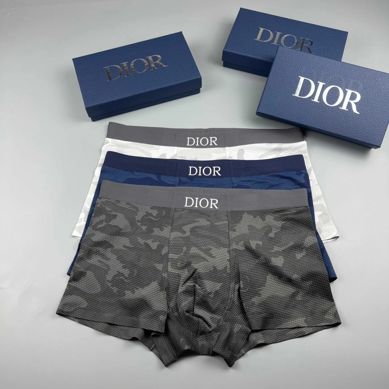 Accurate model Christian Dior Underwear