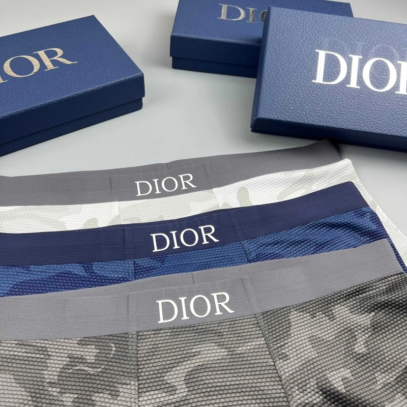Accurate model Christian Dior Underwear