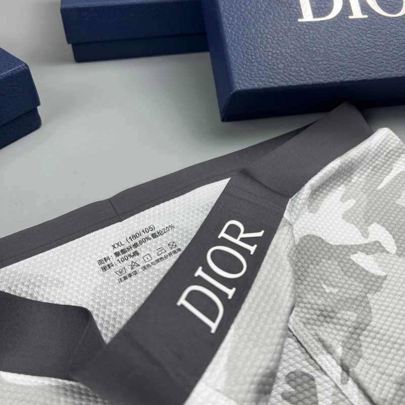 Accurate model Christian Dior Underwear
