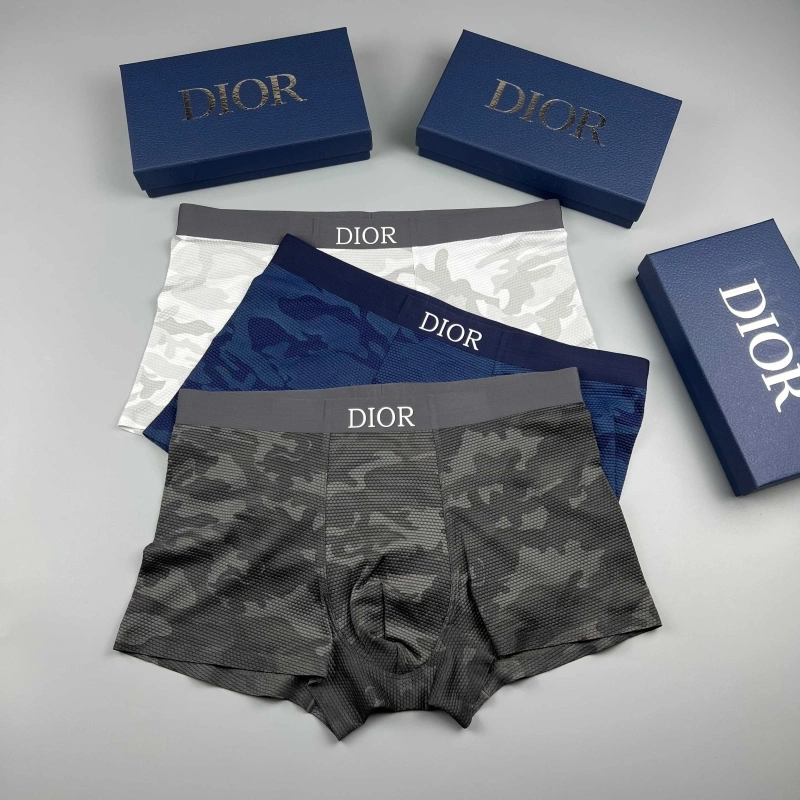 Accurate model Christian Dior Underwear