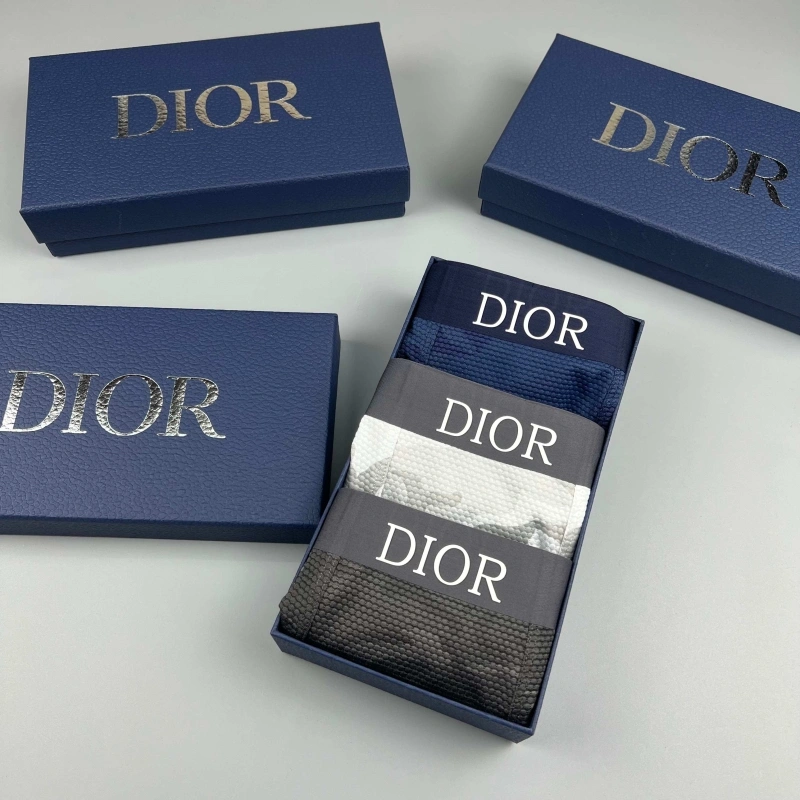 Accurate model Christian Dior Underwear