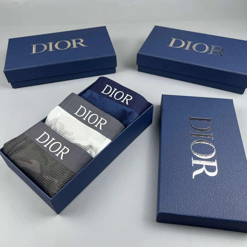 Accurate model Christian Dior Underwear