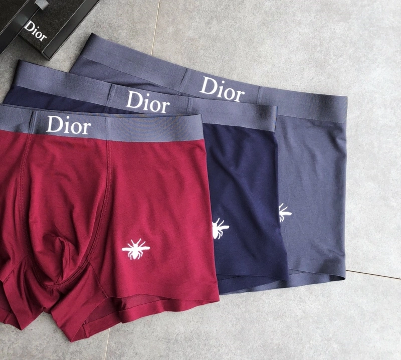 Christian Dior Underwear