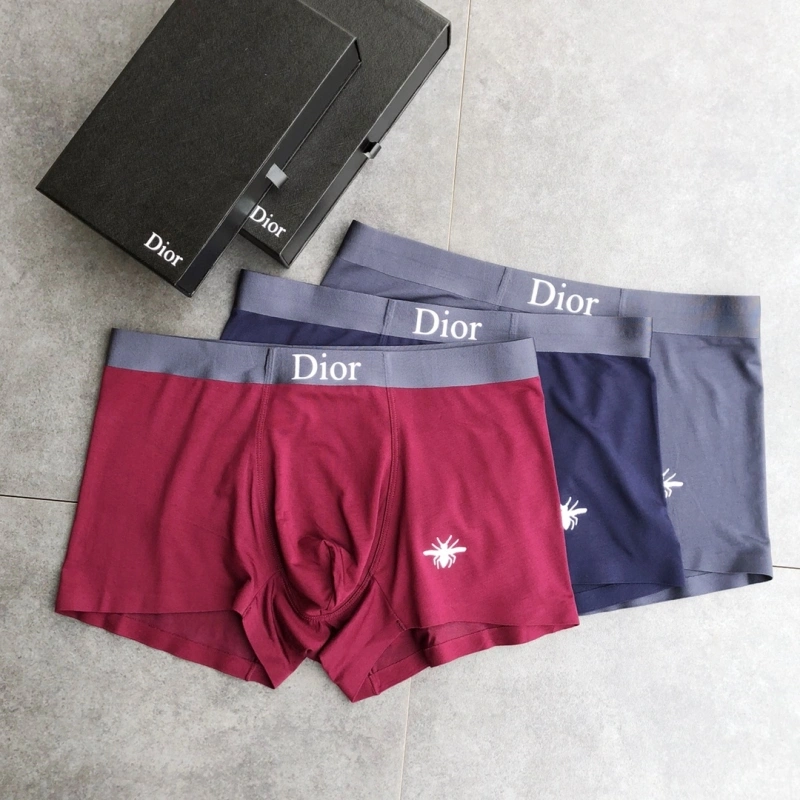 Mirror quality Christian Dior Underwear