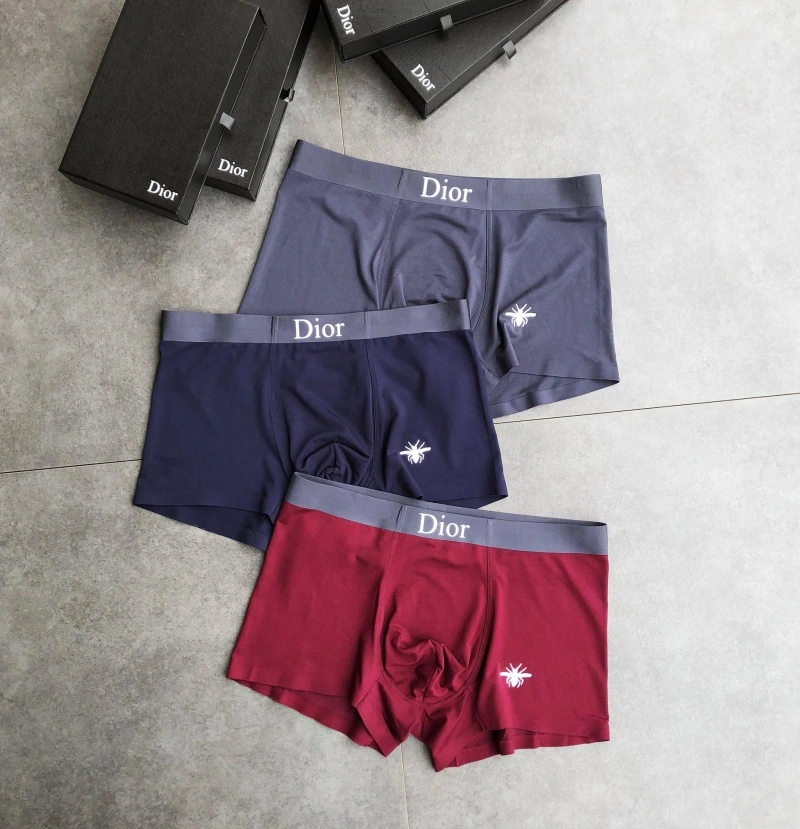 Mirror quality Christian Dior Underwear