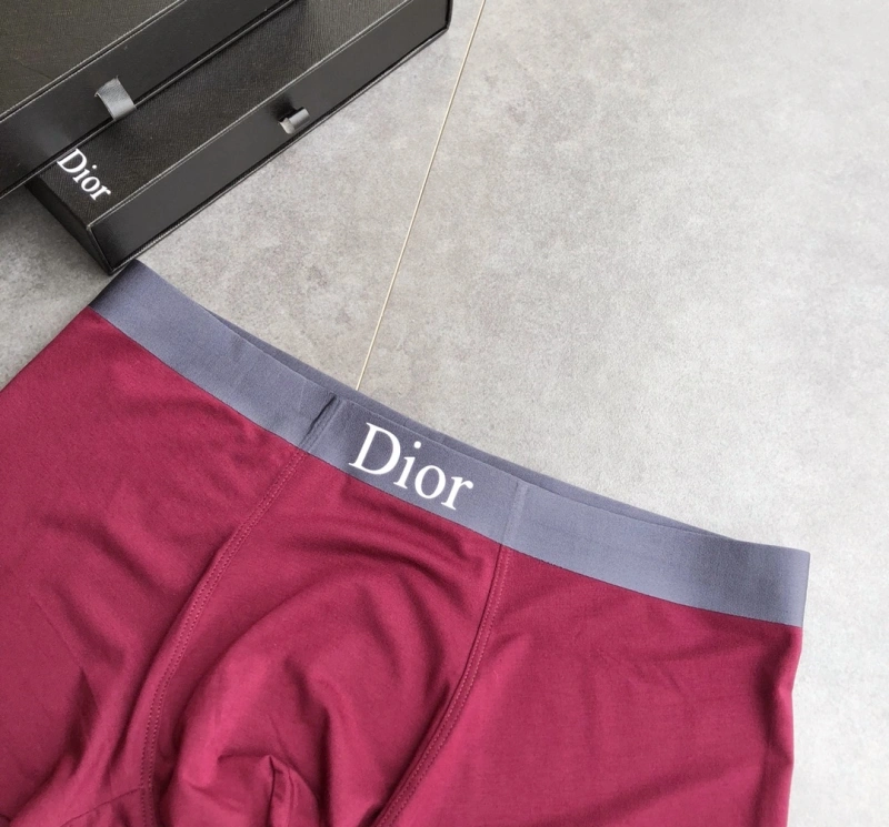 Mirror quality Christian Dior Underwear