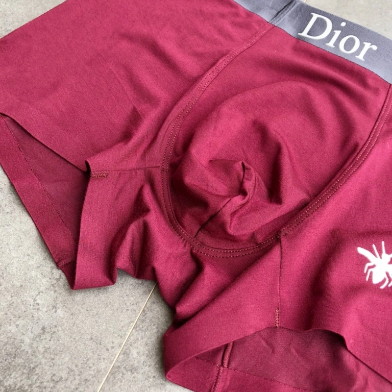 Mirror quality Christian Dior Underwear