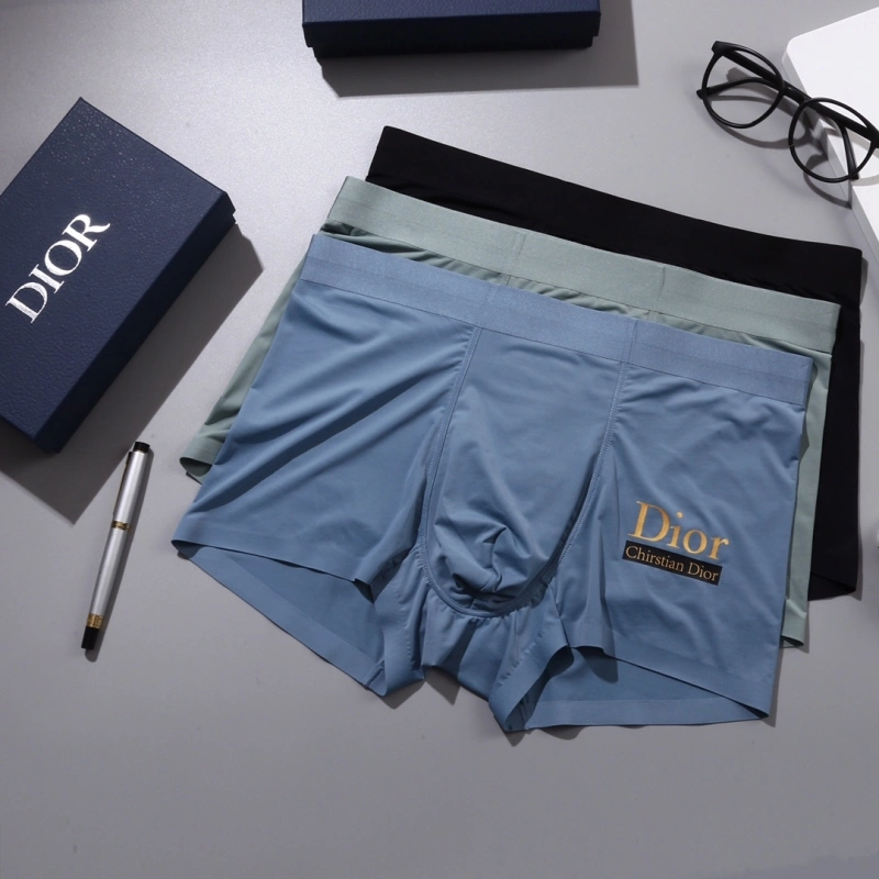 Accurate model Christian Dior Underwear