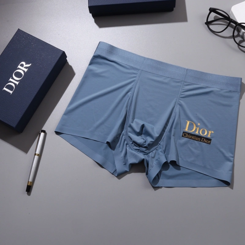 Accurate model Christian Dior Underwear