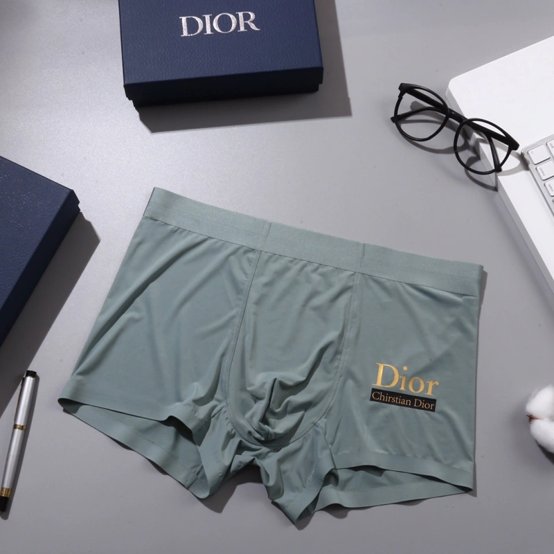 Accurate model Christian Dior Underwear