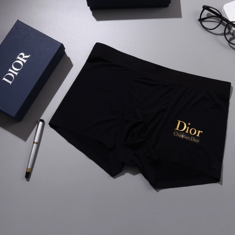Accurate model Christian Dior Underwear