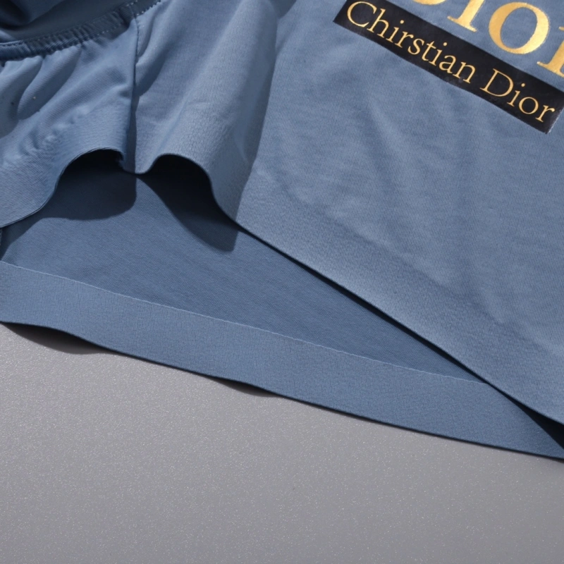 Accurate model Christian Dior Underwear