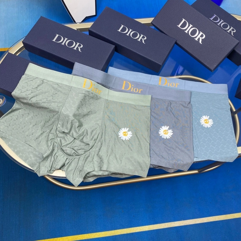 Christian Dior Underwear