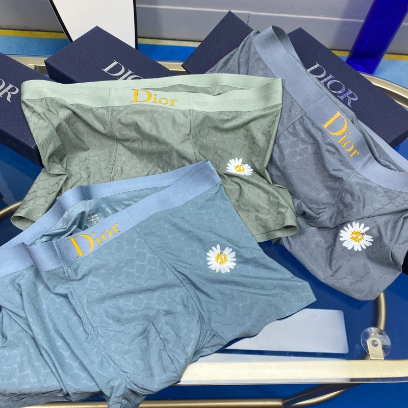 Factory-made Christian Dior Underwear