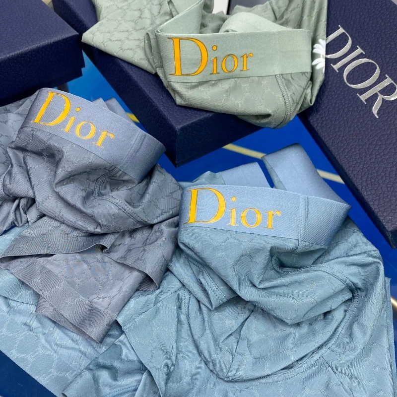 Factory-made Christian Dior Underwear