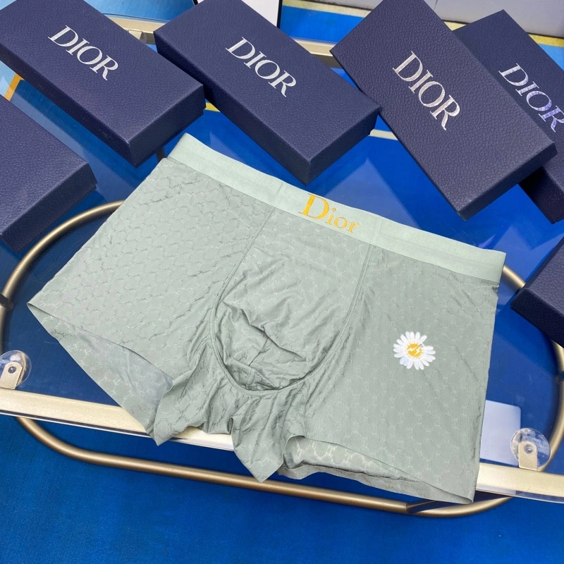 Factory-made Christian Dior Underwear