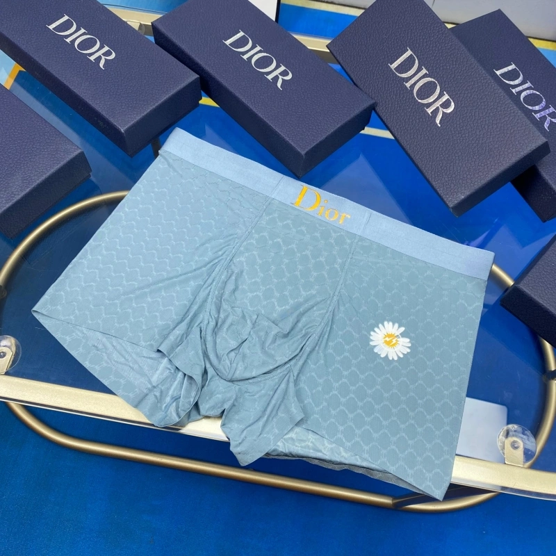 Factory-made Christian Dior Underwear