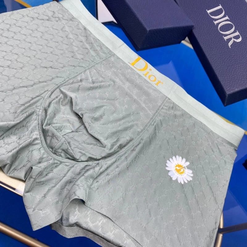 Factory-made Christian Dior Underwear