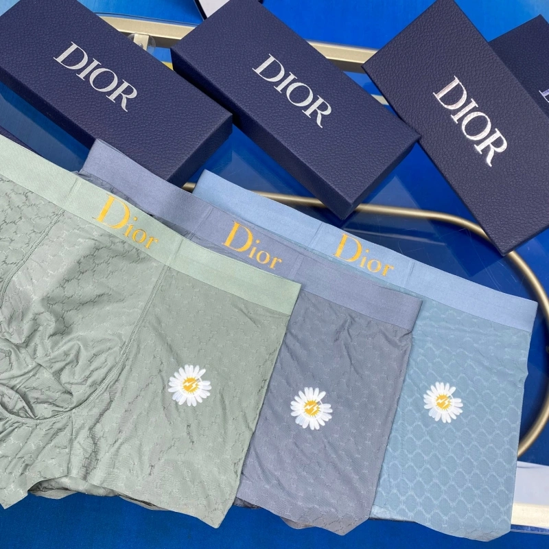 Factory-made Christian Dior Underwear